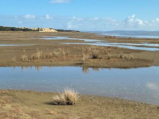 Big Sand Island--Causeway, Rodney District, Auckland, New Zealand ...