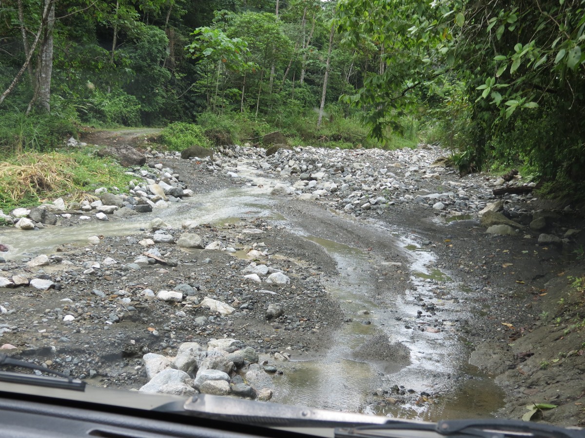 Puerto Jimenez--Laguna Santi - Puntarenas, Costa Rica - Birding Hotspots