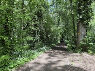 Sentier de la Venoge, Vaud, Switzerland - eBird Hotspot