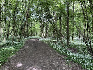 Sentier de la Venoge, Vaud, Switzerland - eBird Hotspot