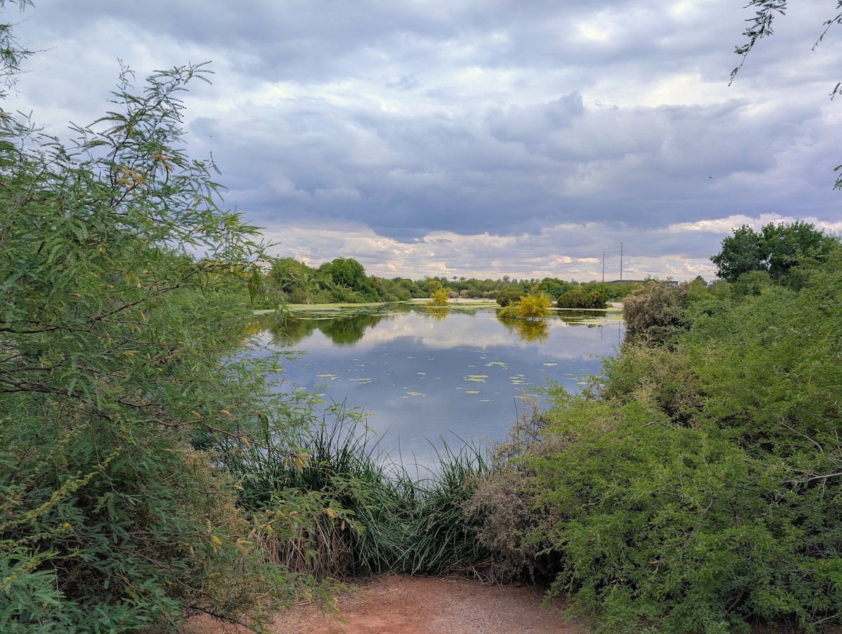 Riparian Preserve at Gilbert Water Ranch - Maricopa, Arizona, US ...