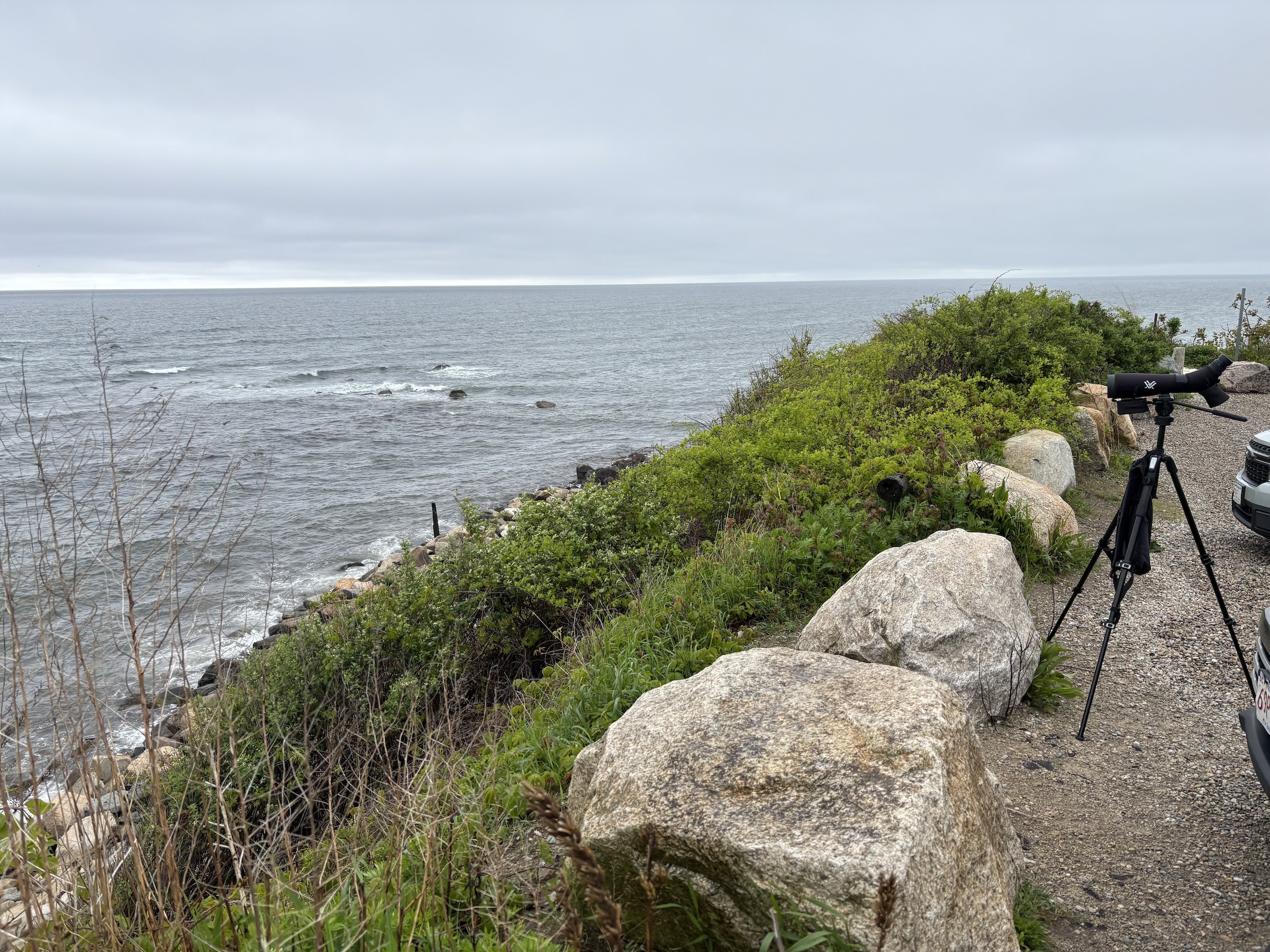 Manomet Point - Plymouth, Massachusetts, US - Birding Hotspots