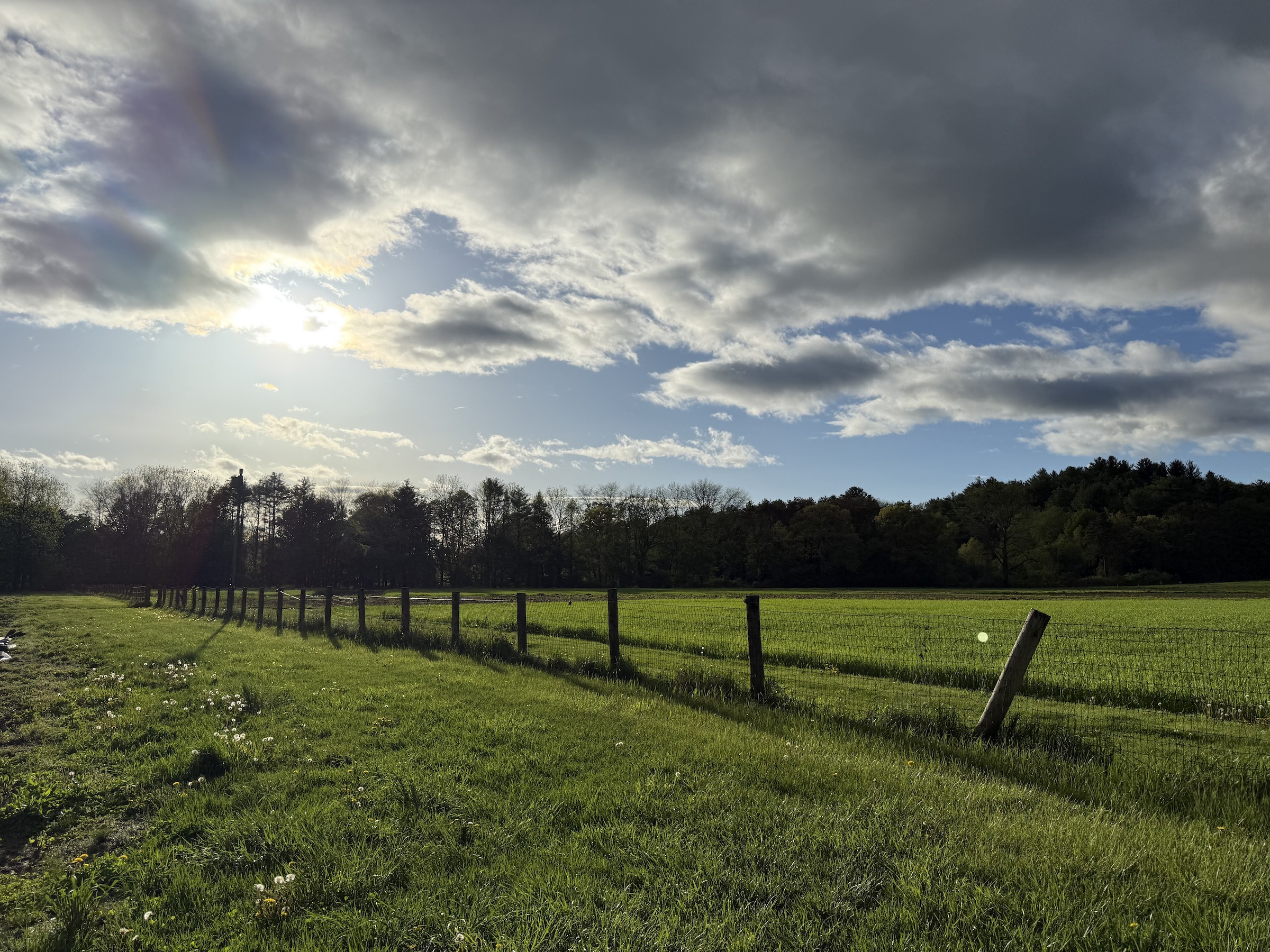 Drumlin Farm Wildlife Sanctuary (Mass Audubon) - Middlesex ...