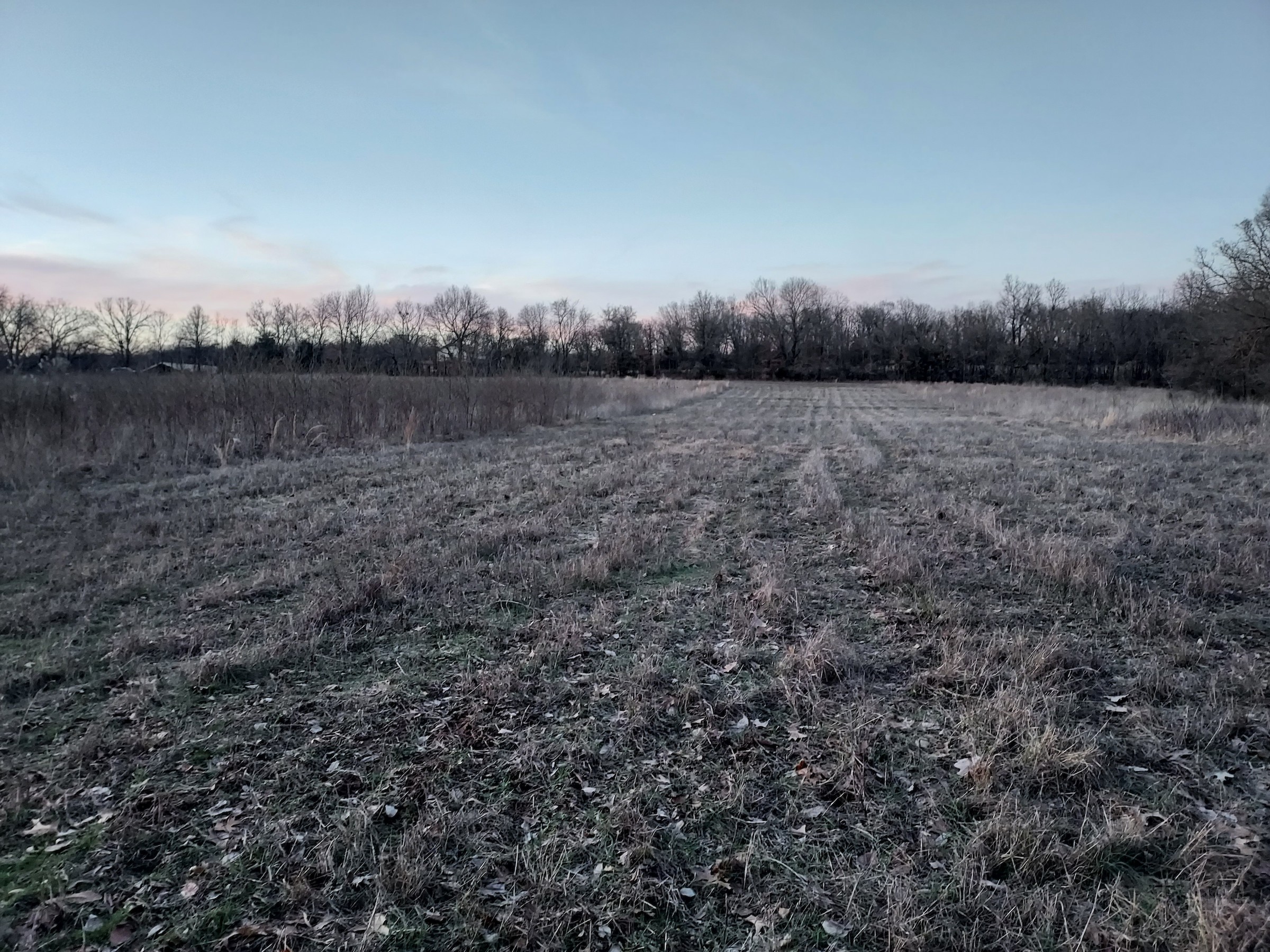 Wedington WMA--Dove Fields - Washington, Arkansas, US - Birding Hotspots