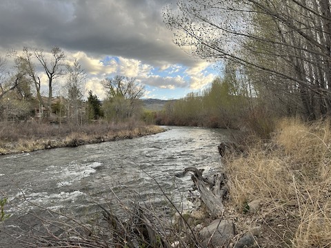 Where to Go Birding in Reno, Nevada - Birding Hotspots
