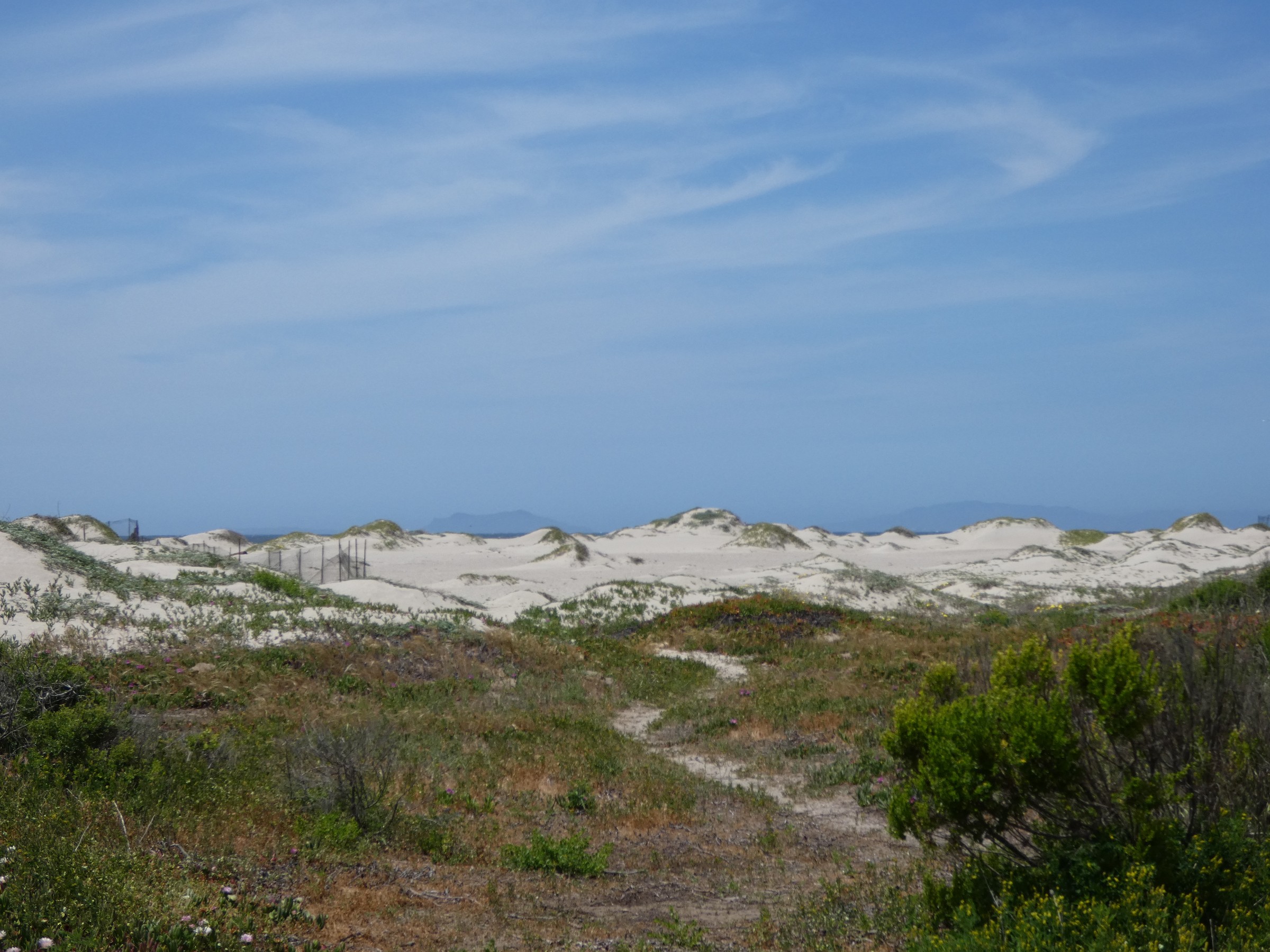 Ormond Beach and lagoon - Ventura, California, US - Birding Hotspots