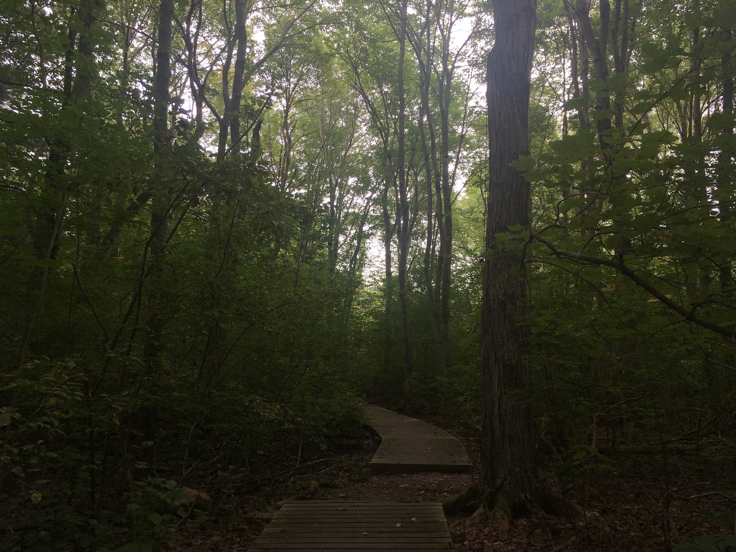 Marblehead Neck Wildlife Sanctuary (Mass Audubon) - Essex ...