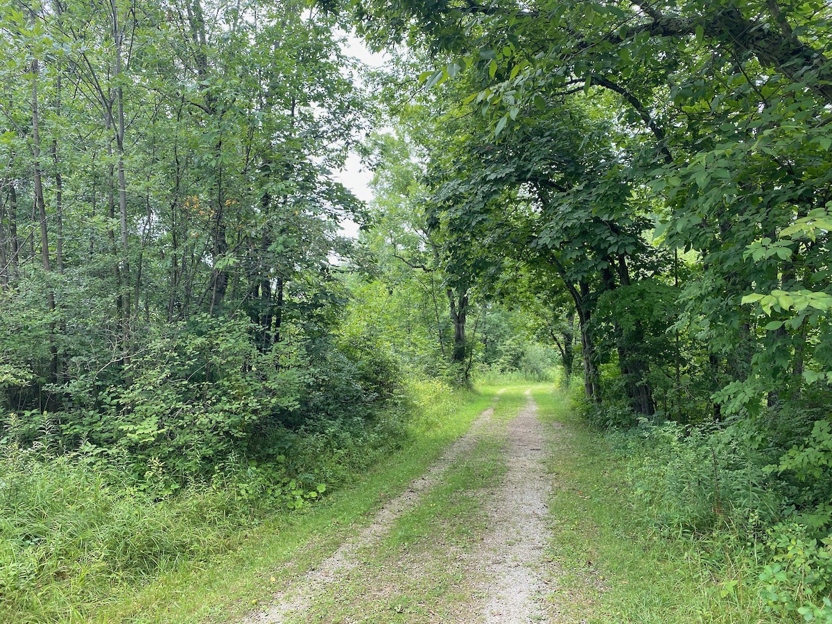 Bath Nature Preserve--Beefys Trail and Woods - Summit, Ohio, US ...