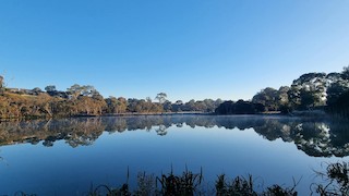 Banyule Flats Reserve, Banyule, Victoria, Australia - eBird Hotspot