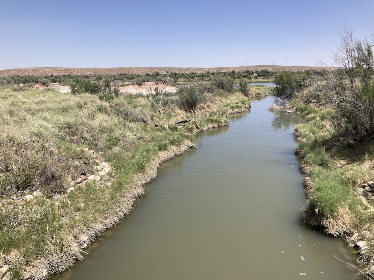 Bitter Lake NWR - Chaves, New Mexico, US - Birding Hotspots