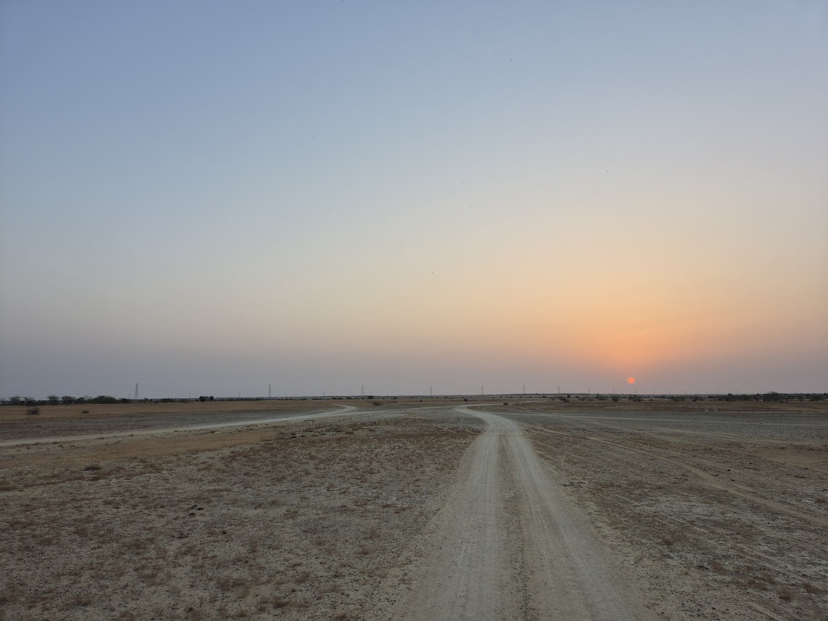 ML636279246 - Habitat: Naga Grid Habitat - Macaulay Library