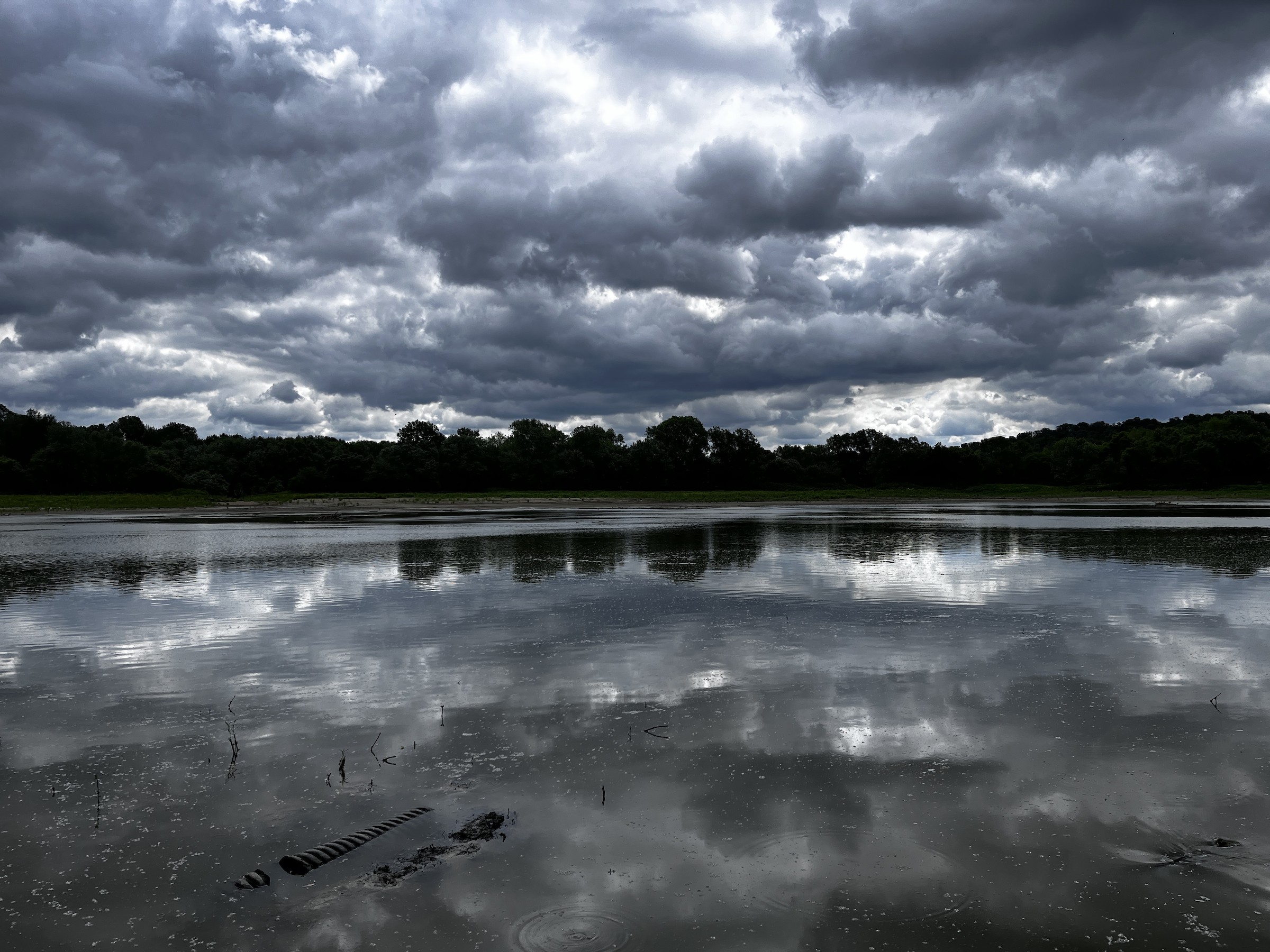 Armleder Park - Hamilton, Ohio, US - Birding Hotspots