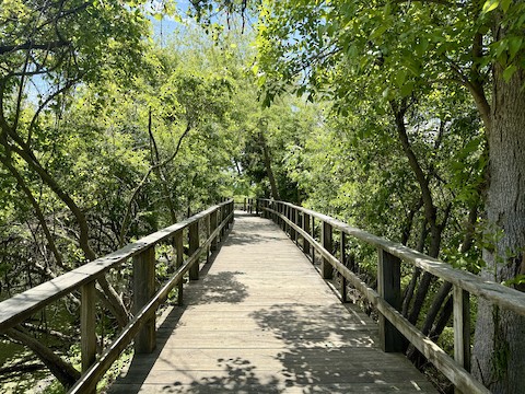 Magee Marsh - Birding Hotspots
