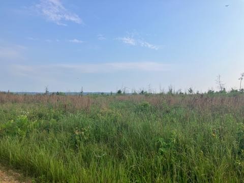 Berry College WMA--CCC Rd. - Floyd, Georgia, US - Birding Hotspots