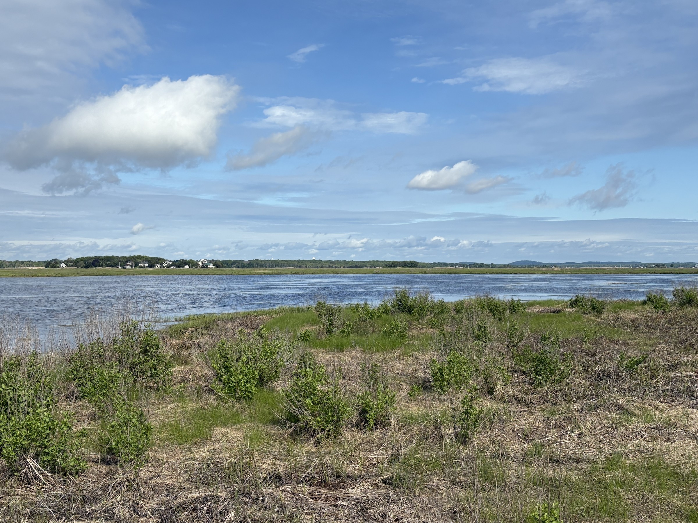 Parker River NWR - Essex, Massachusetts, US - Birding Hotspots