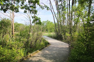 Boston Nature Center Wildlife Sanctuary (Mass Audubon), Suffolk ...