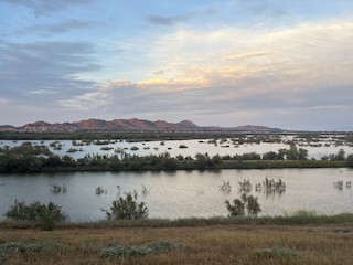 Lake Elsinore--south levee and back basin, Riverside, California ...
