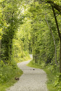 Point Pelee NP* general (use more precise loc.), Essex, Ontario, Canada ...