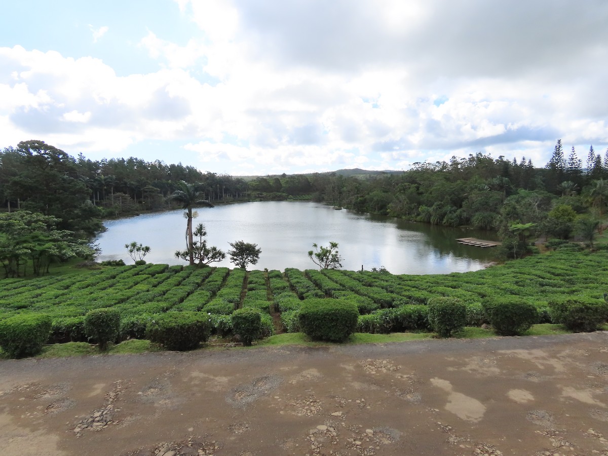 ML637413775 - Habitat - Macaulay Library