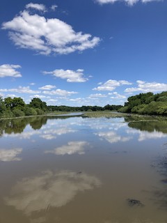 Lac du Der-Chantecoq (secteur général, merci d'utiliser plutôt des ...