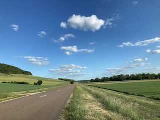 Lac du Der-Chantecoq (secteur général, merci d'utiliser plutôt des ...