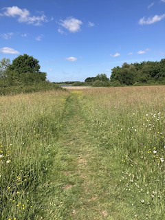 Lac du Der-Chantecoq (secteur général, merci d'utiliser plutôt des ...