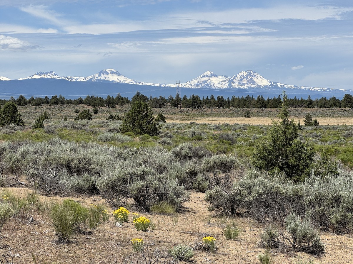 Hatfield Lake - Deschutes, Oregon, US - Birding Hotspots