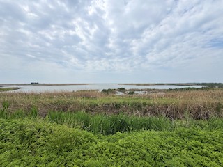 Hart-Miller Island, Baltimore, Maryland, United States - eBird Hotspot