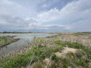 Hart-Miller Island, Baltimore, Maryland, United States - eBird Hotspot