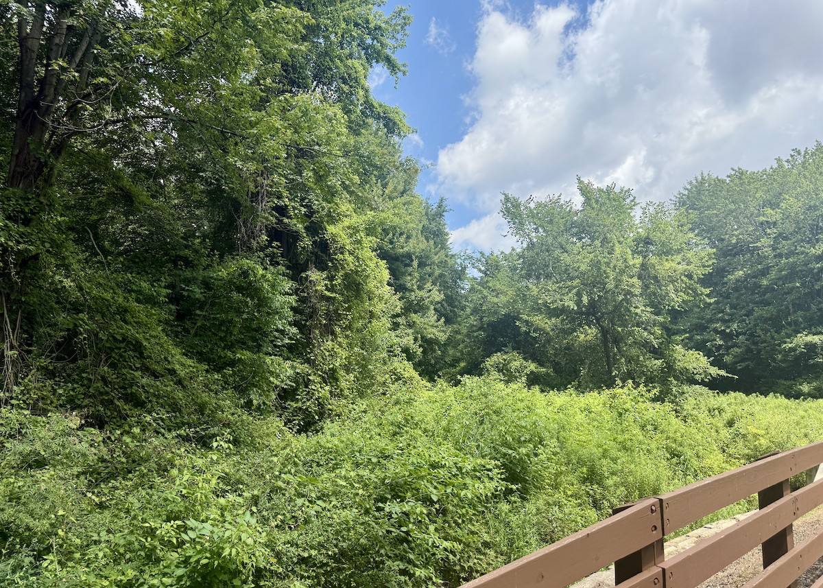 North Coast Inland Trail--Elyria - Lorain, Ohio, US - Birding Hotspots
