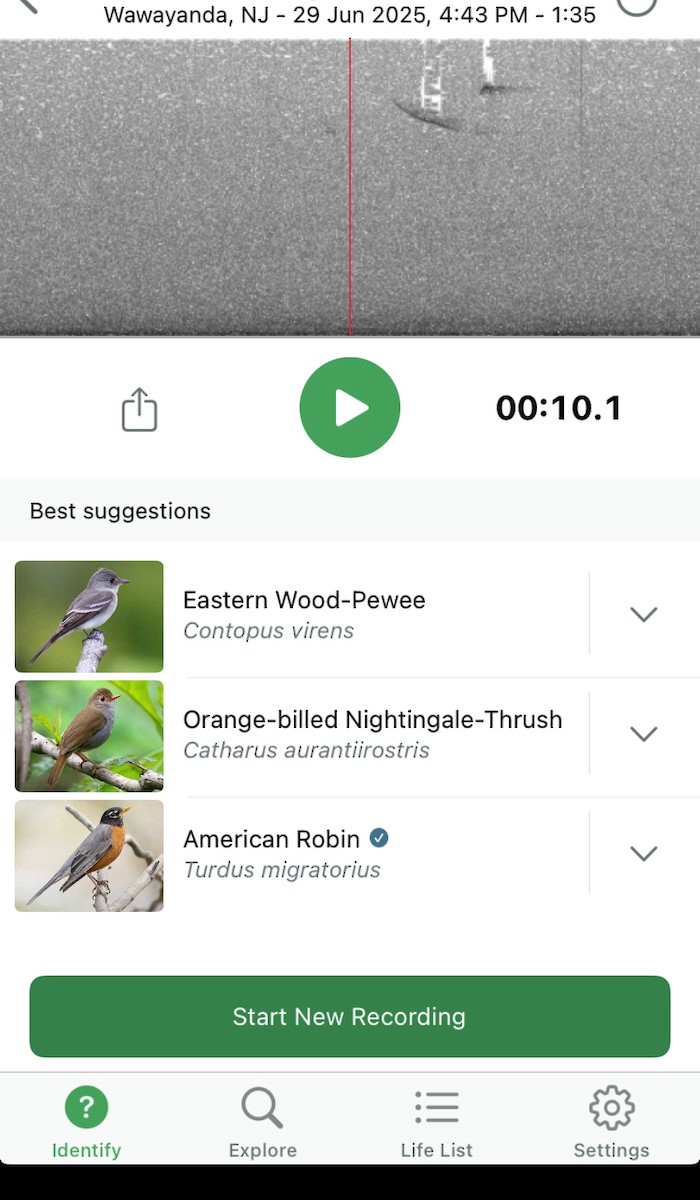 eBird Checklist - 28 Jun 2025 - Cabin trail, Wawayanda SP, NJ - 1 species