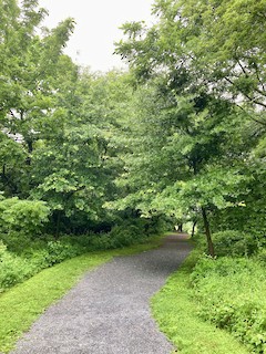 Noel Dorwart Park, Lancaster, Pennsylvania, United States - eBird Hotspot