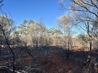 Gundabooka National Park--Dry Tank Campground, Bourke, New South Wales ...