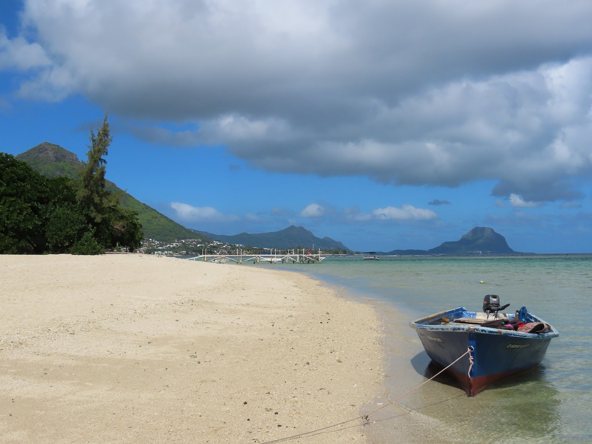 ML638440478 - Habitat - Macaulay Library