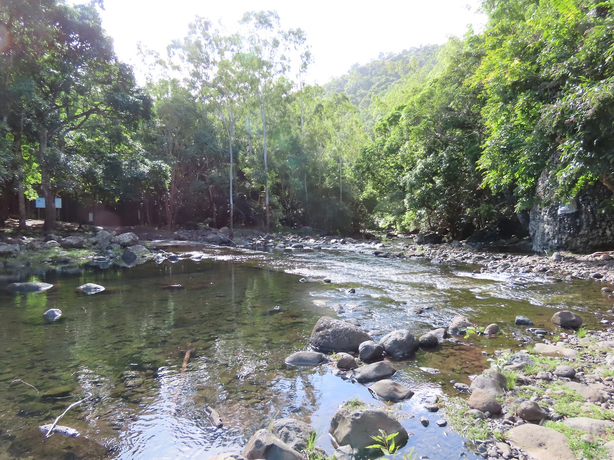 ML638440871 - Habitat - Macaulay Library