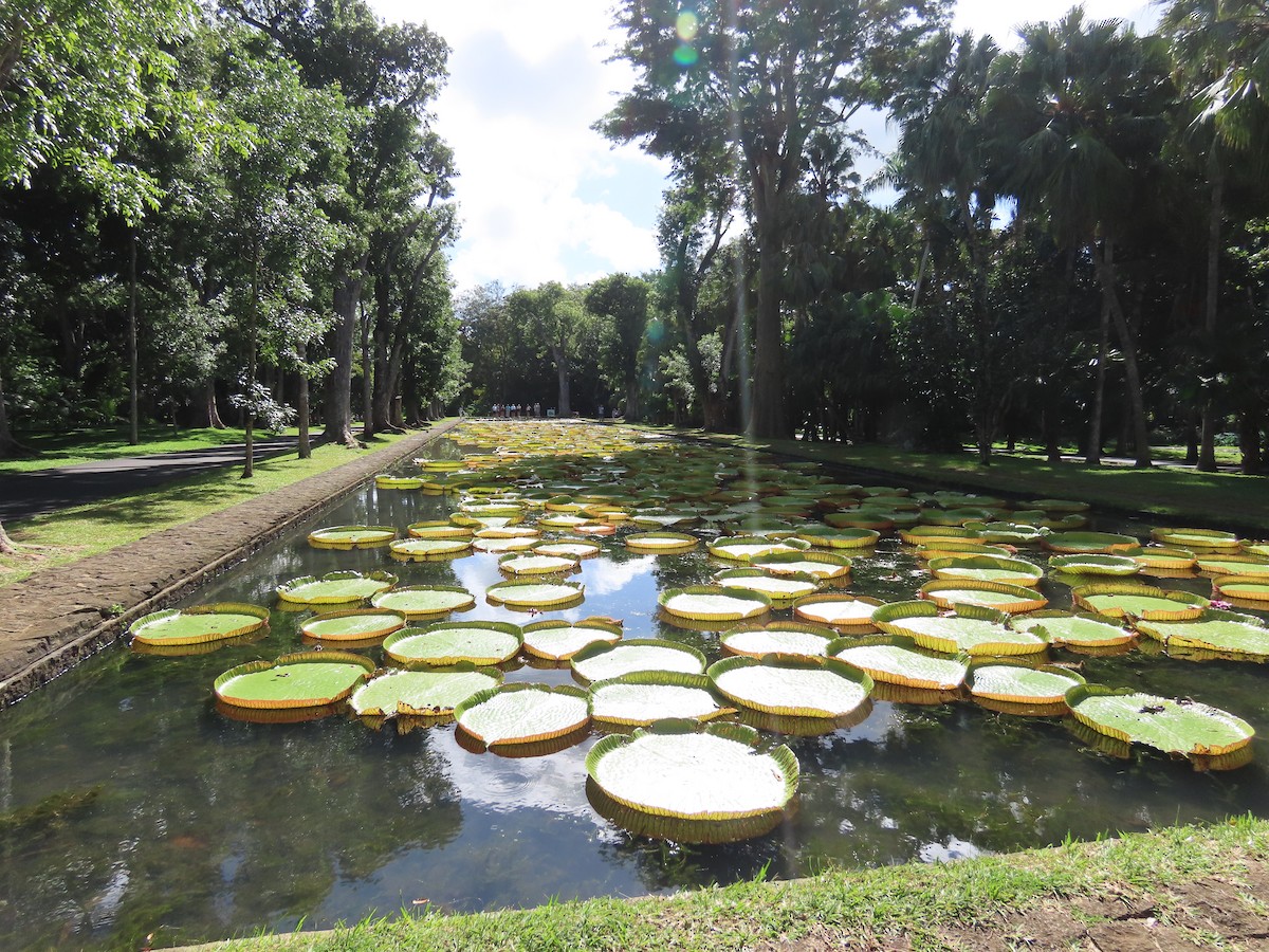 ML638441170 - Habitat - Macaulay Library