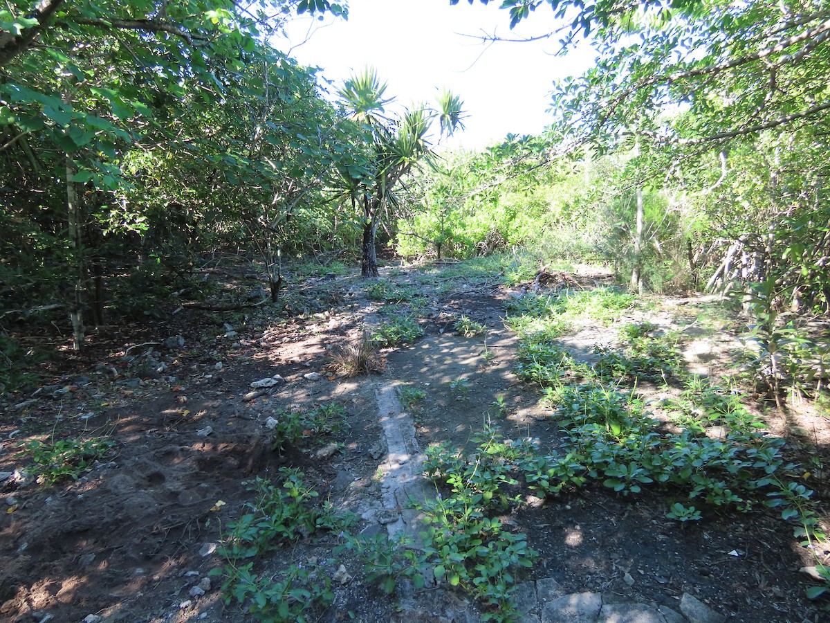 ML638441848 - Habitat - Macaulay Library