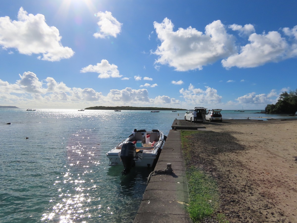 ML638441851 - Habitat - Macaulay Library
