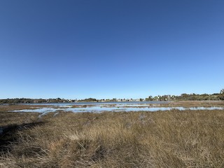 Alfred Cove Nature Reserve, Melville, Western Australia, Australia ...