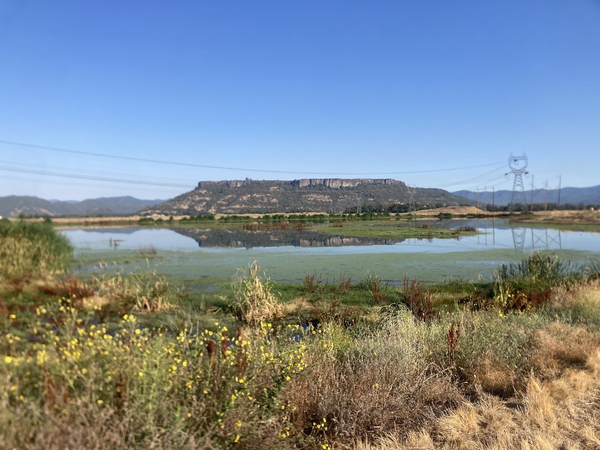 White City Lagoons (Kirtland Rd. Ponds) - Jackson, Oregon, US - Birding ...
