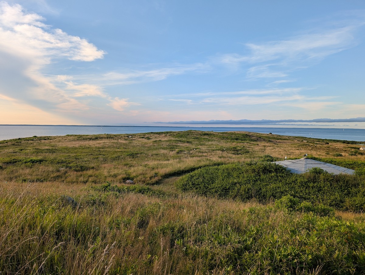 Penikese Island - Dukes, Massachusetts, US - Birding Hotspots