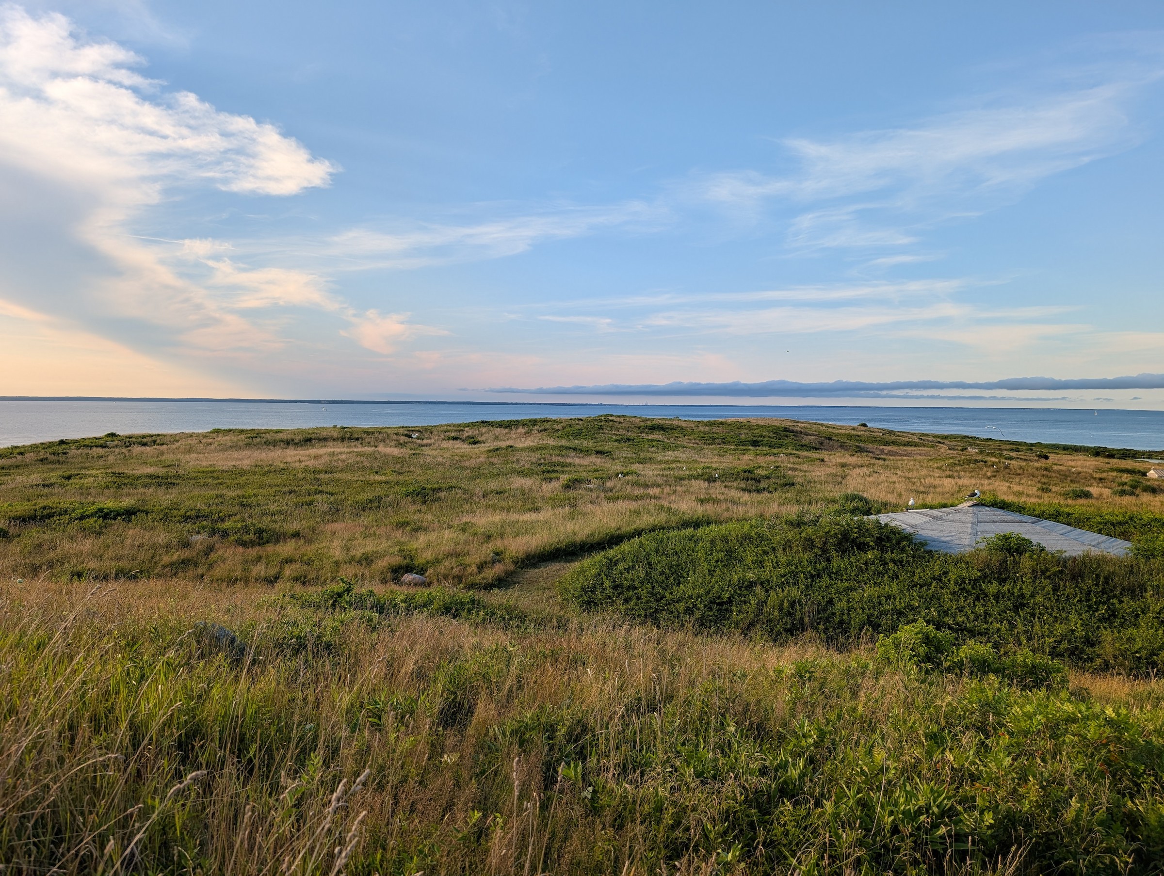 Penikese Island - Dukes, Massachusetts, US - Birding Hotspots