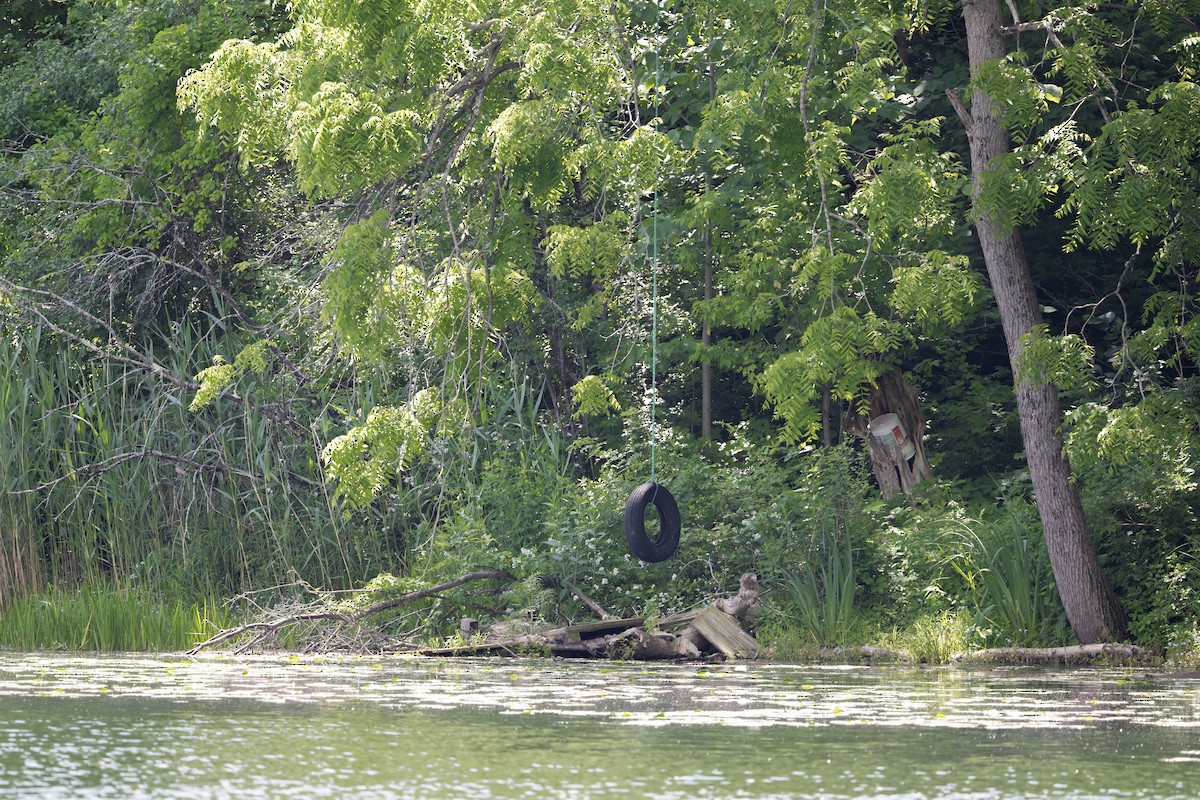 Lake Runnemede / Evarts Pond - (62 acres) - Paradise Park - Windsor ...