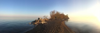 Point Pelee NP* general (use more precise loc.), Essex, Ontario, Canada ...