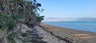 Marismas de Santoña, Victoria y Joyel PNat--Playa de El Regatón y Ría ...