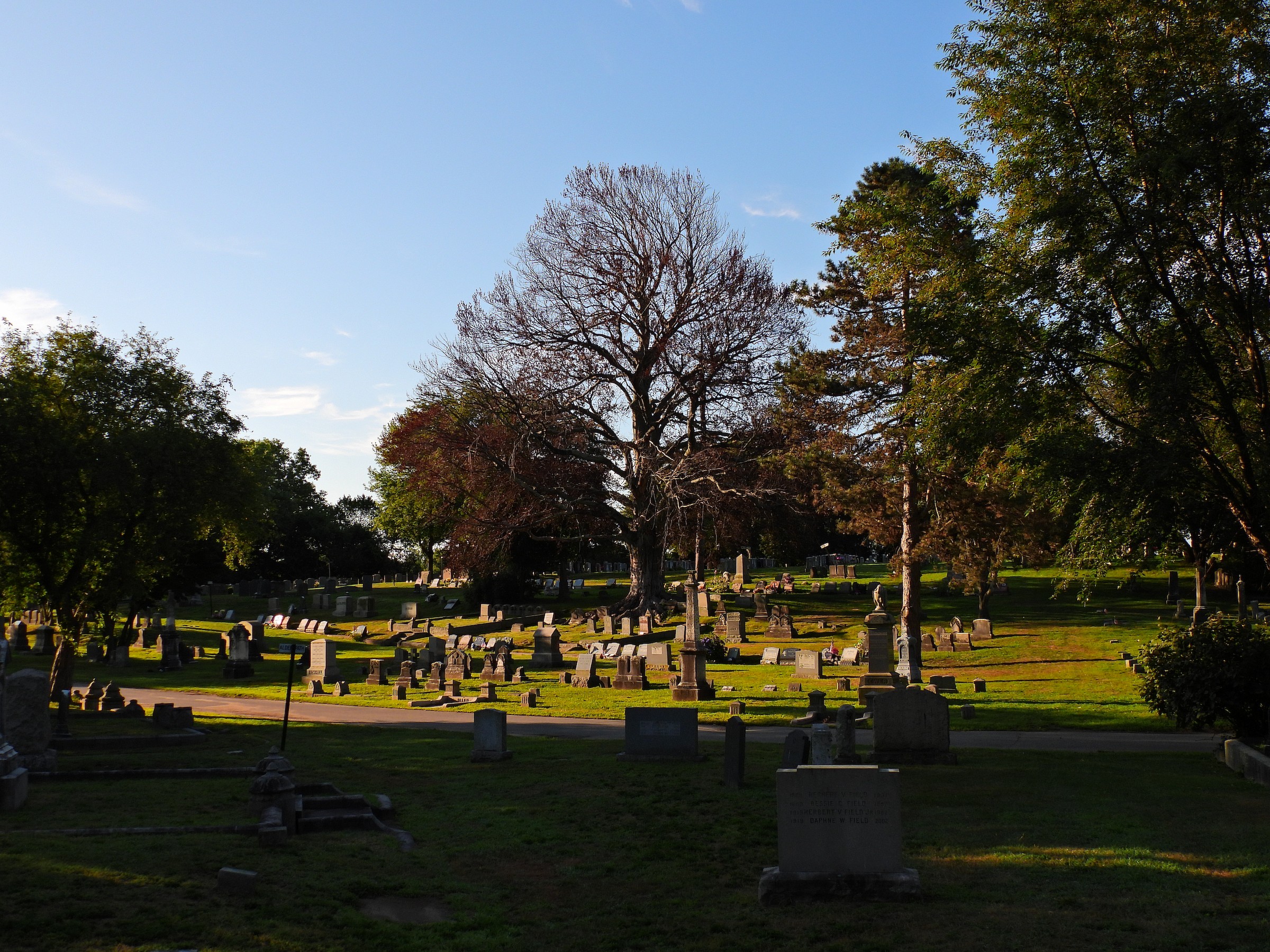 Cambridge Cemetery - Middlesex, Massachusetts, US - Birding Hotspots