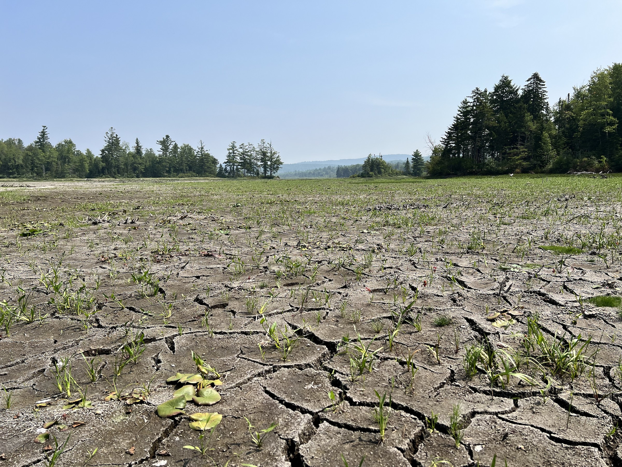 McDaniels Marsh WMA, Springfield - Sullivan, New Hampshire, US ...