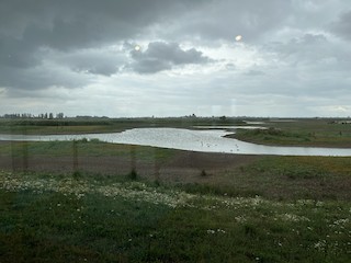 Frampton Marsh RSPB Reserve, Lincolnshire, England, United Kingdom ...