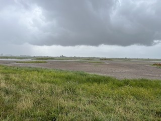 Frampton Marsh RSPB Reserve, Lincolnshire, England, United Kingdom ...