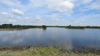 Otmoor RSPB Reserve, Oxfordshire, England, United Kingdom - eBird Hotspot